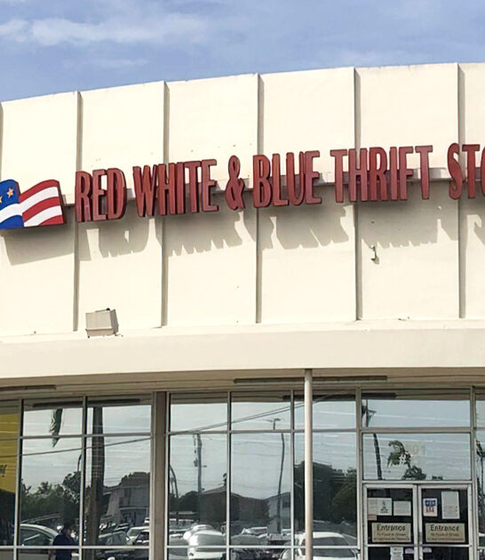 thrift store florida fancy ftr