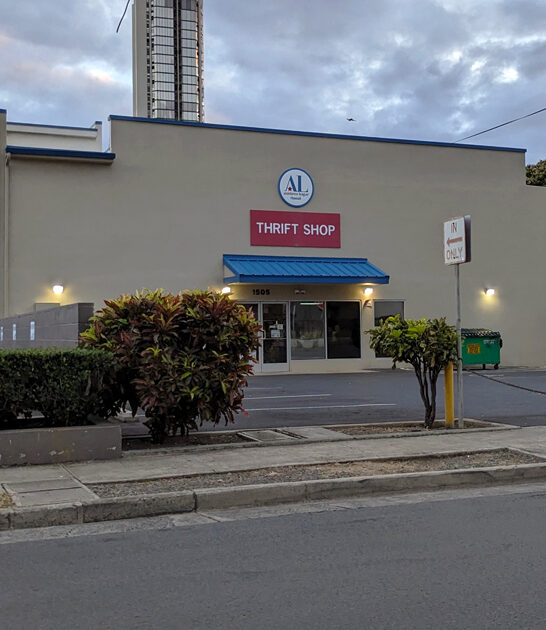 thrift store hawaii cart ftr