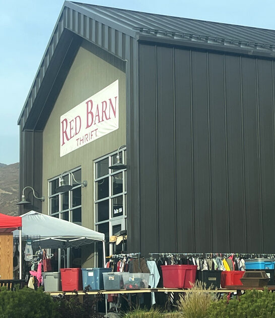 thrift stores gigantic utah ftr