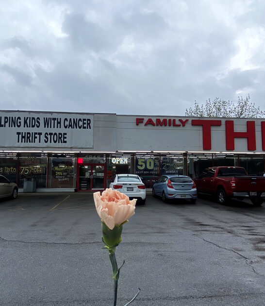 thrift stores ohio drive ftr