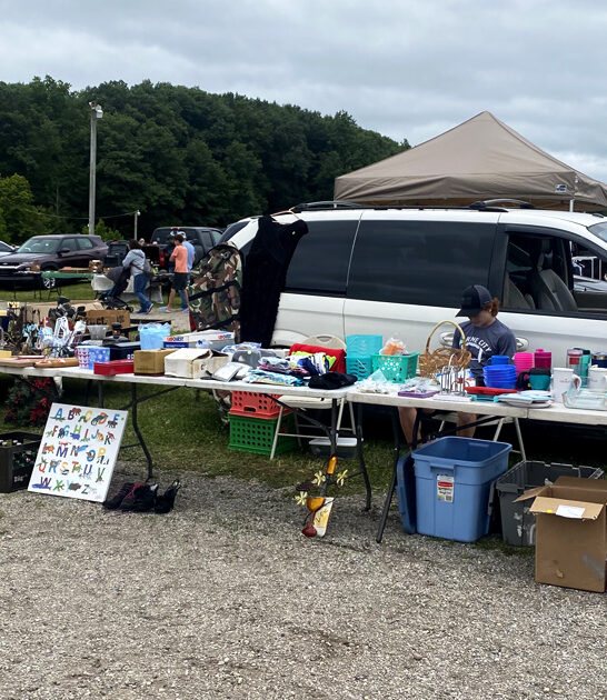 thrifty flea markets michigan ftr