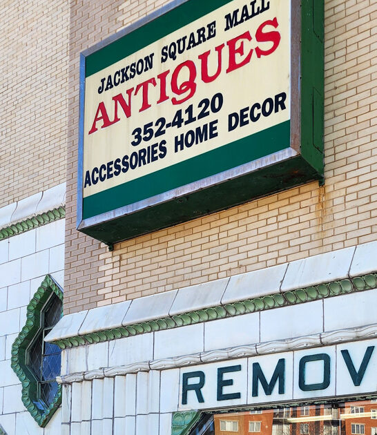 timeless finds illinois oasis ftr
