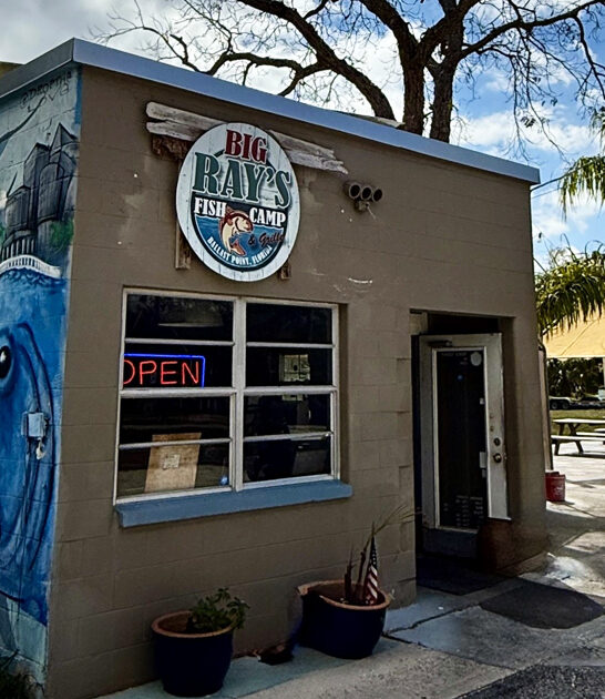 tiny seafood florida sandwich ftr