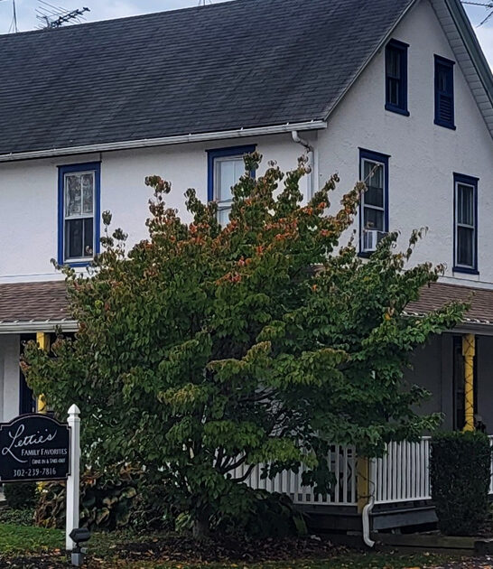 tomato soup delaware restaurant ftr