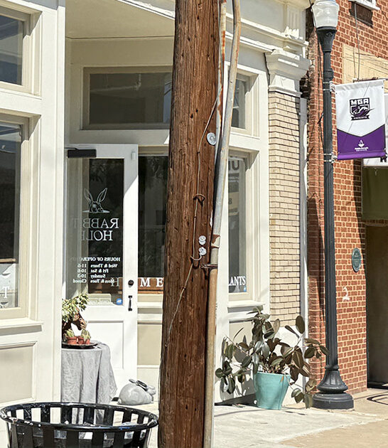 top squash casserole georgia ftr