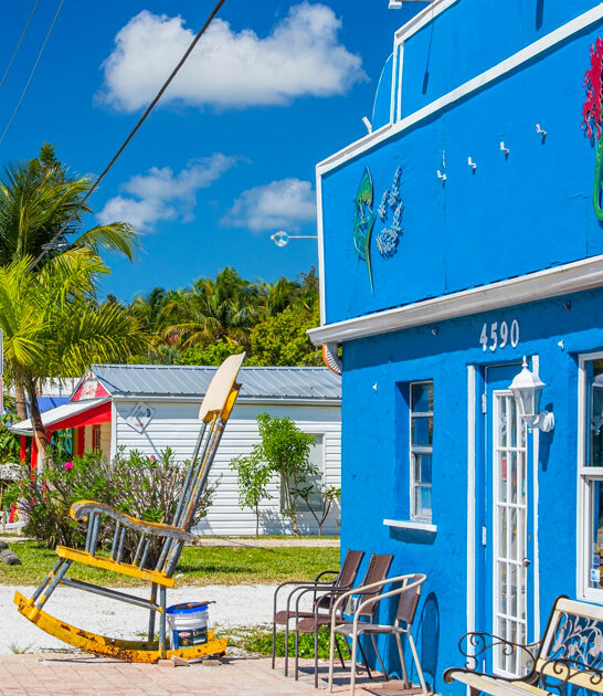 town florida friendly trip FTR