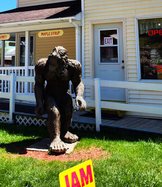 traditional michigan dining experience ftr