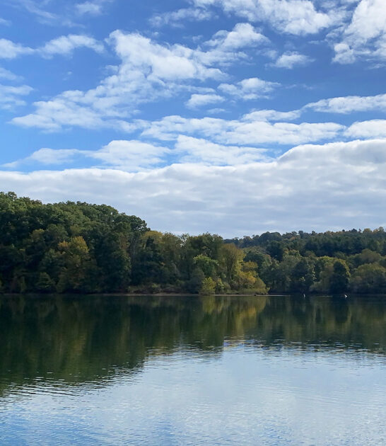 tranquil escape ohio woods ftr