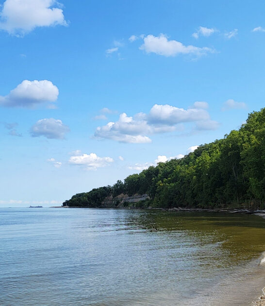 tranquil maryland park haven ftr