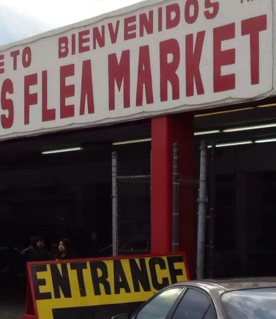 treasures market rare illinois ftr