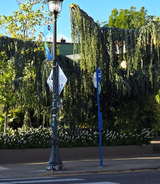 truffle fries restaurant oregon ftr