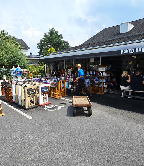 unassuming amish stores pennsylvania ftr