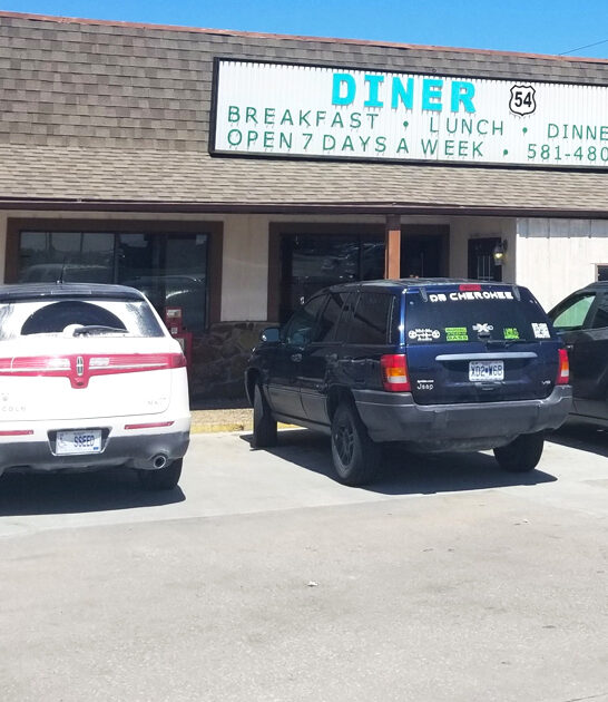 unassuming diner missouri fries ftr