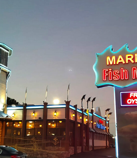 unassuming georgia grilled octopus ftr