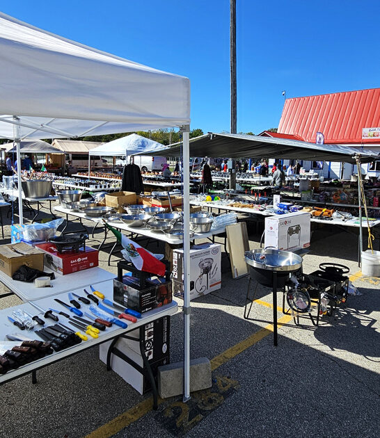 undeniable amazing market wisconsin ftr