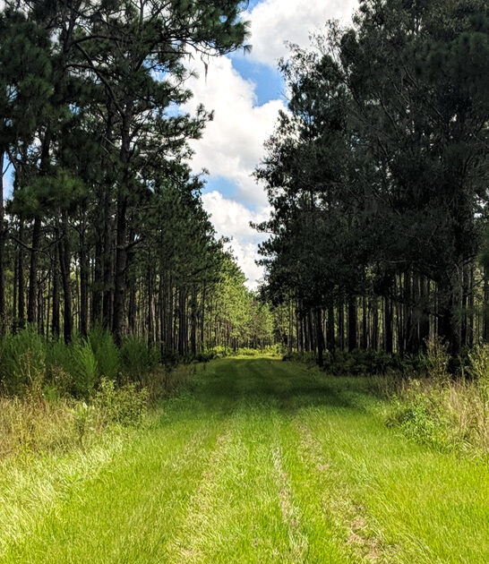 under radar florida park ftr