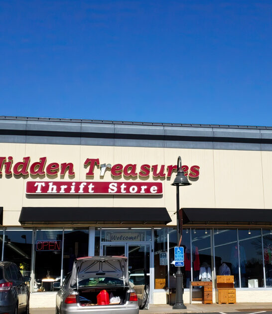underrated bargain shops minnesota ftr