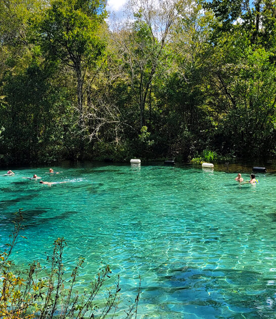 underrated florida spring gems ftr