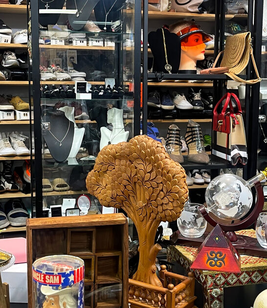 underrated florida thrift experience ftr