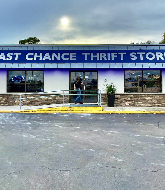 underrated florida thrift heaven ftr