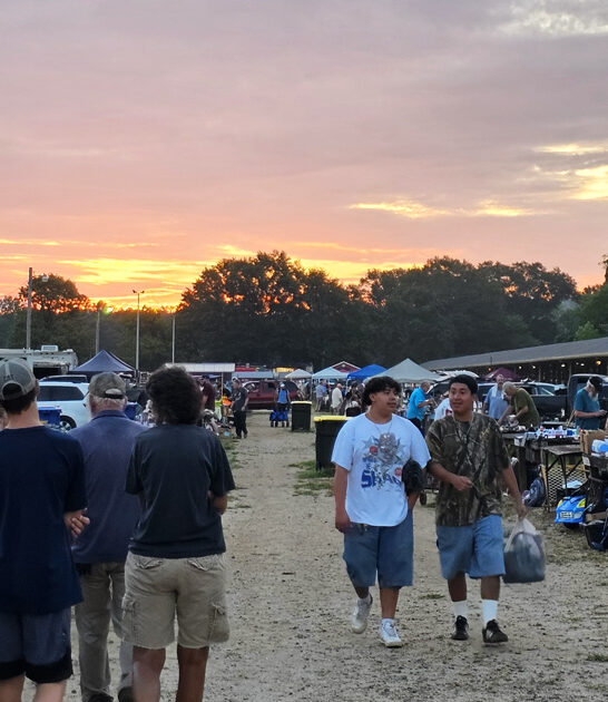 underrated market south carolina FTR