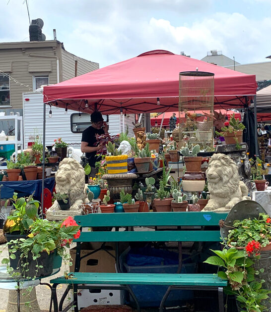 underrated new york bargain ftr