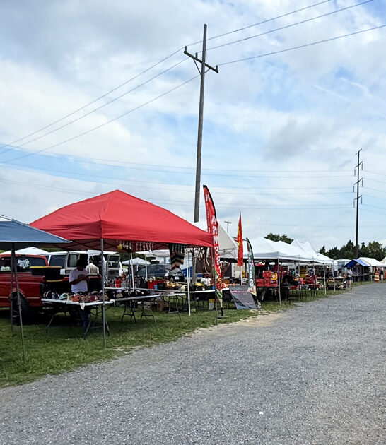 underrated virginia flea market ftr