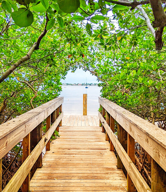 unheard florida garden botanical ftr