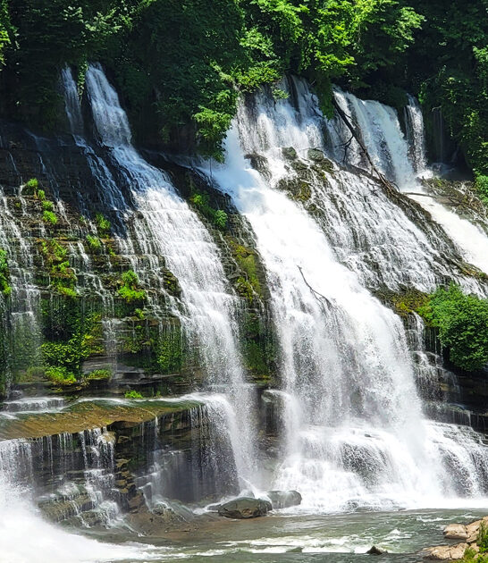unplug park tennessee charming ftr