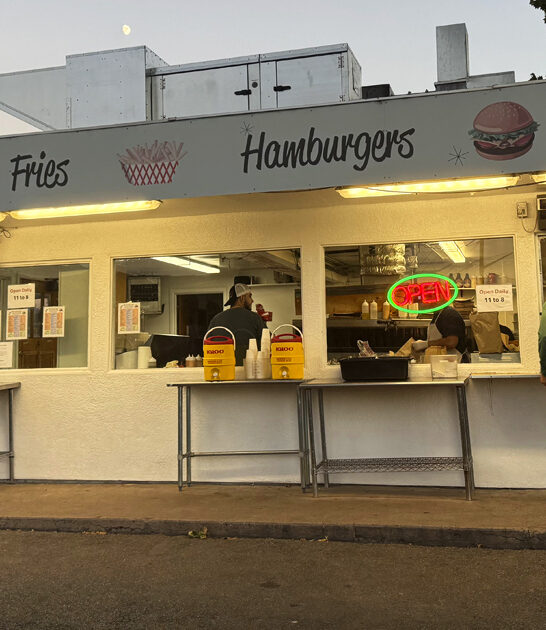 utah burger joint fries ftr