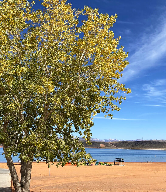utah state park true ftr