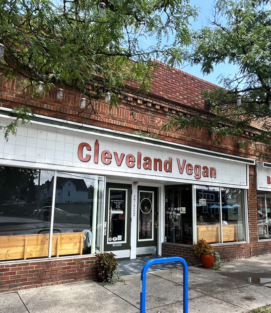 vegan restaurant ohio quesadilla FTR