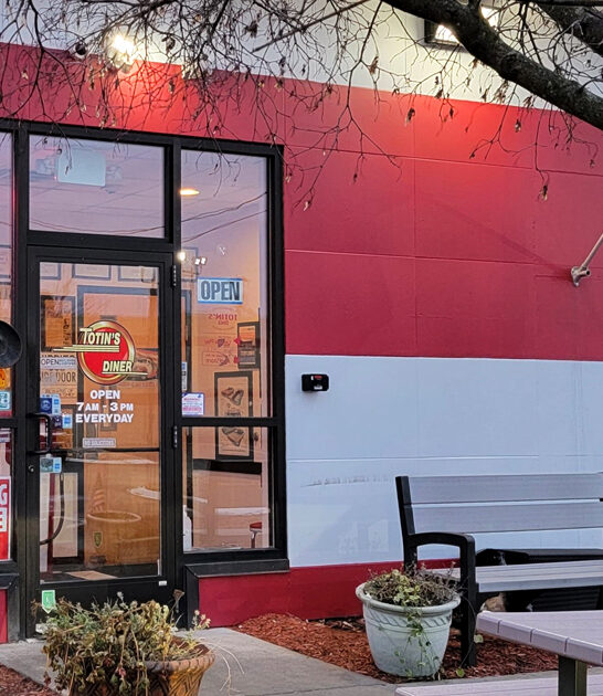 veggie lovers diner pennsylvania ftr