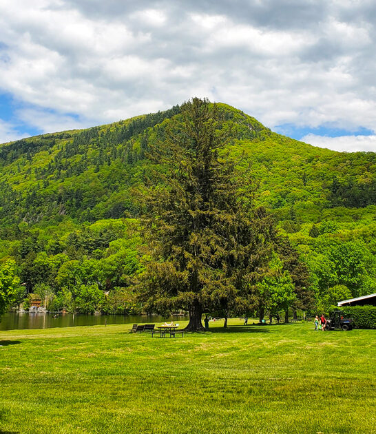 vermont nature escape awaits ftr