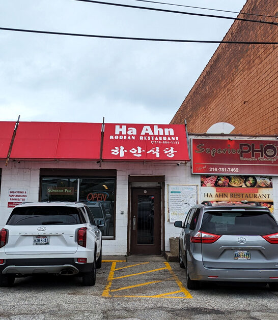vietnamese restaurant ohio pho ftr