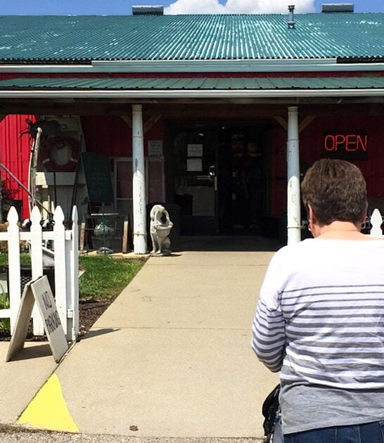 vintage store gigantic michigan FTR