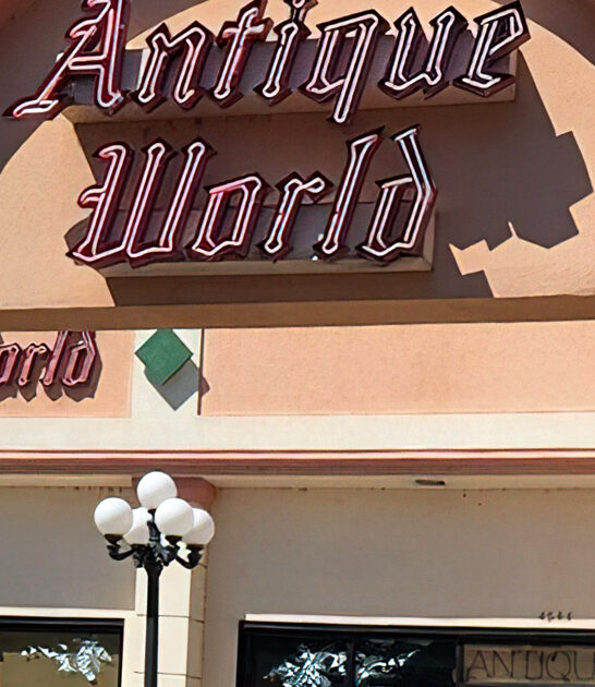 vintage store idaho massive ftr