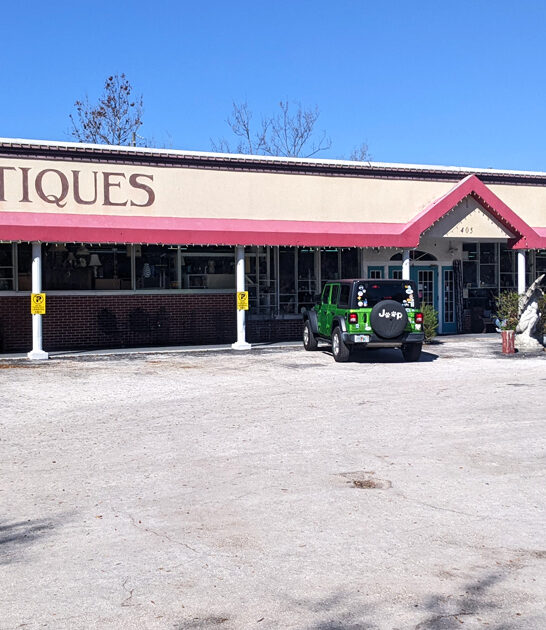 vintage store massive florida FTR