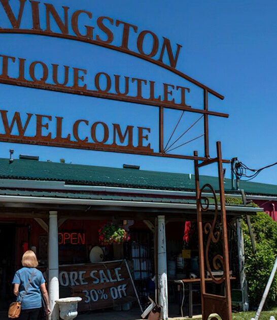 vintage store michigan treasure FTR