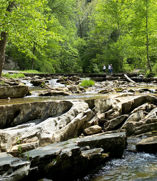 virginia dreamy state park ftr