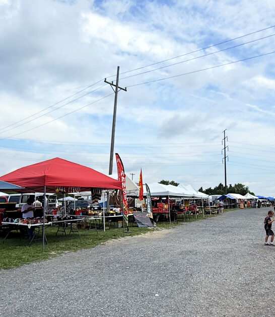 virginia flea market bargains ftr