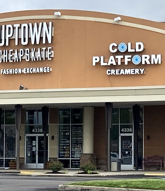 virginia gargantuan secondhand shops ftr