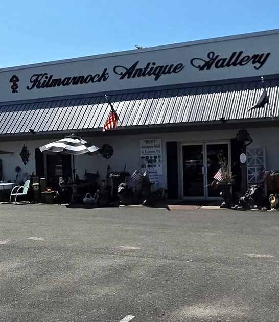 virginia gigantic vintage stores ftr