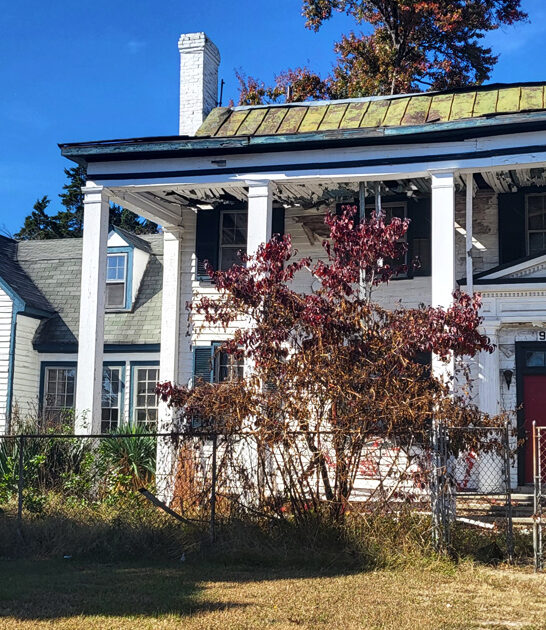 virginia massive flea bargains ftr