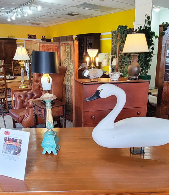 virginia store treasures rare ftr