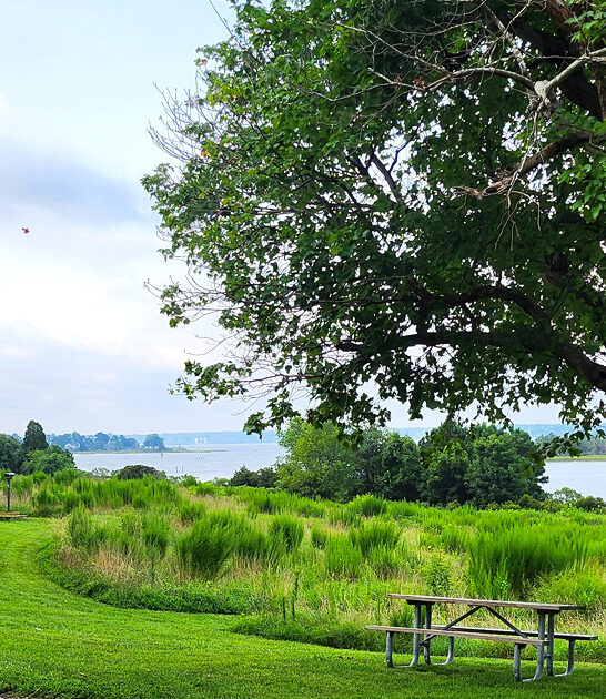 virginia worthy park dream ftr