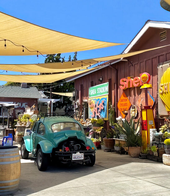 wackiest clam chowder california ftr