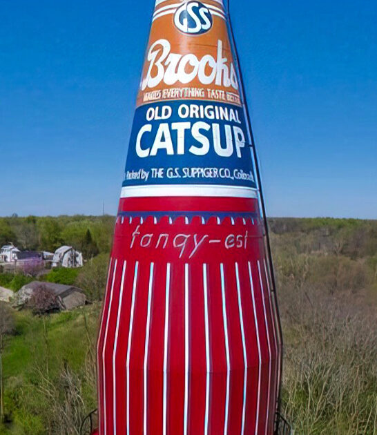 wacky roadside attraction illinois ftr