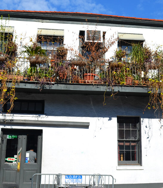 waffles diner louisiana ftr