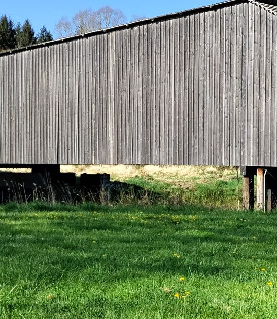 washington bridge covered stunning ftr